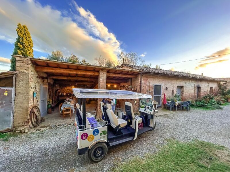 Siena: Tuk Tuk Tour with Wine Tasting - Potential Drawbacks and Considerations