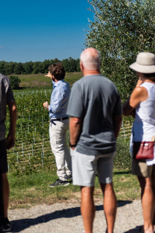 Siena: Winery tour/tasting with owner/maker of awarded wines - Final Thoughts
