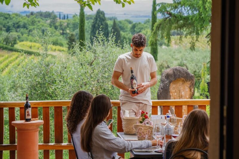 Siena: winery tour, wine tasting and lunch - In-Depth Look at the Itinerary