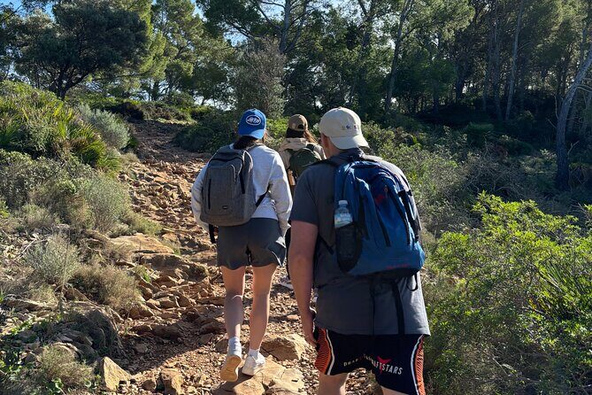 Sierra de Tramuntana hike with transportation and small picnic - The Itinerary: What to Expect from Start to Finish