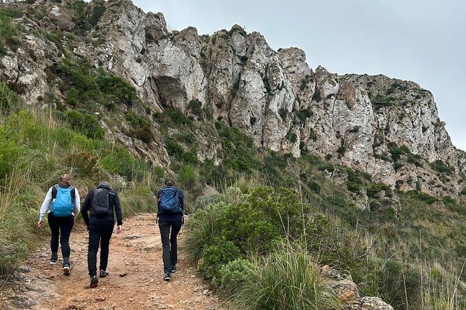 Sierra de Tramuntana hike with transportation and small picnic - The Sum Up: Who Is This Tour Best For?