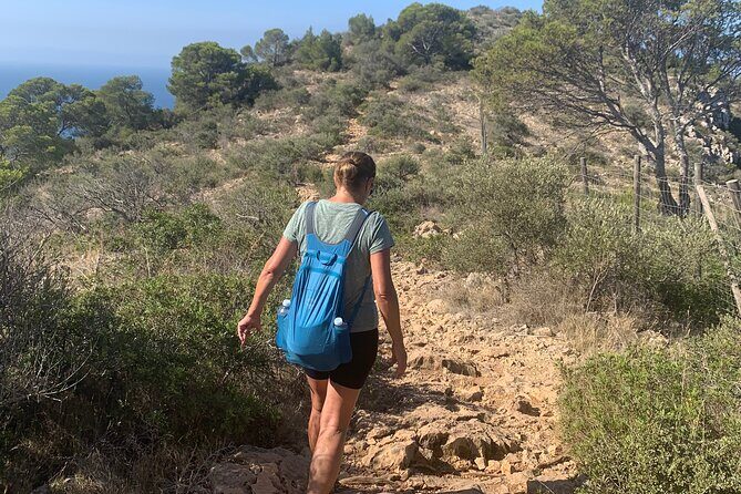 Sierra de Tramuntana hike with transportation and small picnic - Frequently Asked Questions