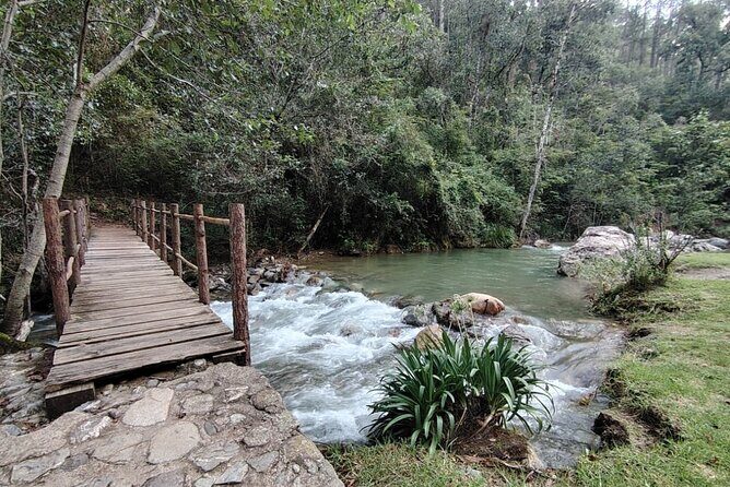 Sierra Juarez Private Tour - Stop 4: Capulalpam de Méndez – A Magical Town of Healing Traditions