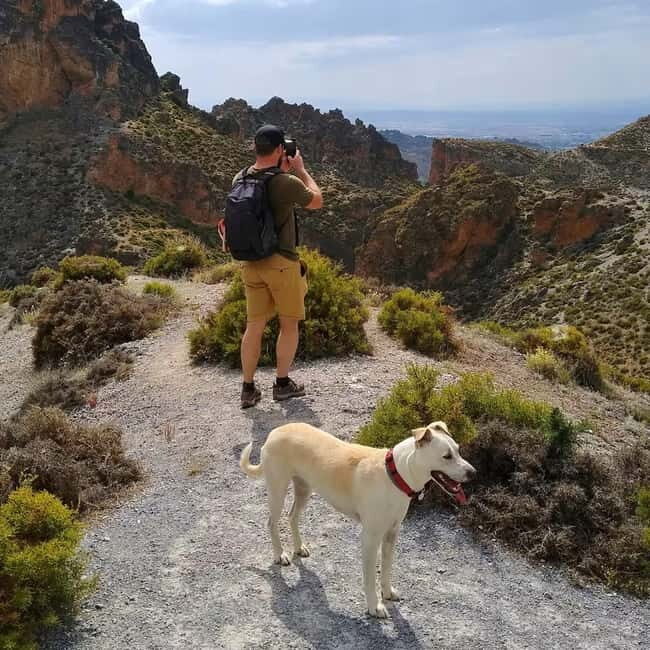 Sierra Nevada Canyon Hike with Pup Guide - Authentic, Offbeat Experience