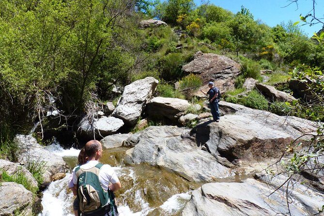 Sierra Nevada Day Trip from Granada. Small group up to 8 pax - Transportation