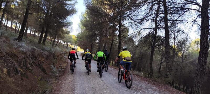 Sierra Nevada Small Group BIKE Tour - Practical Tips for Your Ride