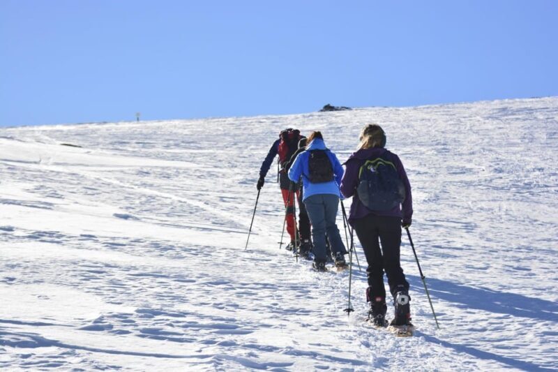 Sierra Nevada: snow tour at 3,000m of altitude - Practical Details and Logistics