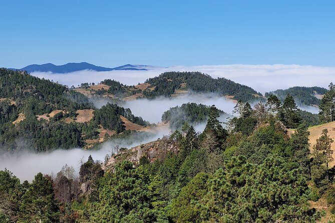 Sierra Norte Hike and Indigenous Village Full-Day Adventure - An In-Depth Look at the Experience