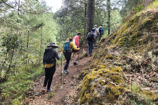 Sierra Norte Hike and Indigenous Village Full-Day Adventure - Who Will Love This Tour?