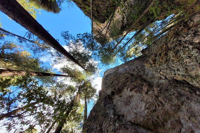 Sierra Norte Hike and Indigenous Village Full-Day Adventure - Final Thoughts