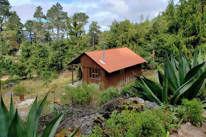 Sierra Norte Hike and Indigenous Village Full-Day Adventure - FAQs