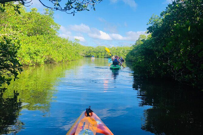 Siesta Key Guided Eco Tour - An In-Depth Look at the Siesta Key Eco Tour