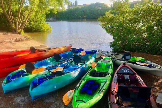 Siesta Key Guided Eco Tour - FAQ