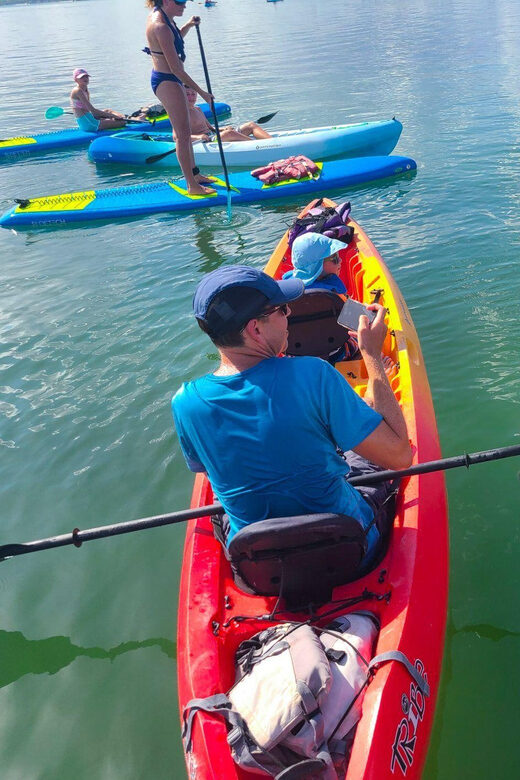 Siesta Key: Mangrove Kayak or Paddleboard Tour - The Experience from a Practical Perspective