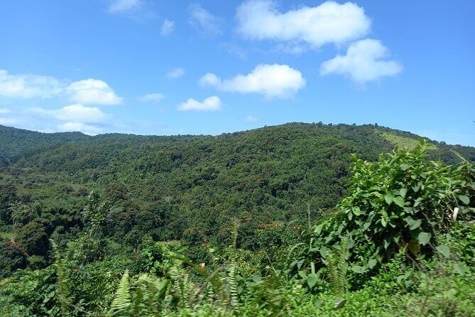 Sigatoka Sand Dune and Water Fall Nature Tour Ex Nadi Sigatoka - What Travelers Say