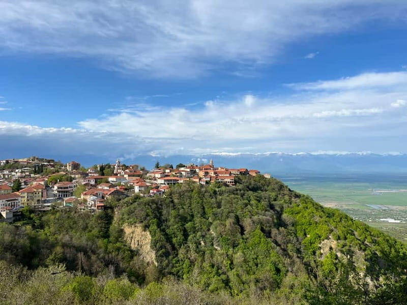Sighnaghi Day Trip with wine tasting and Bodbe Monastery - Who This Tour Is Best For