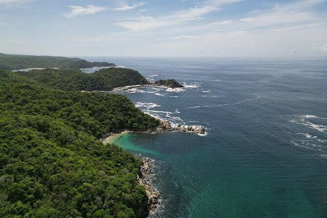 Sighting DE Marine Mammals and Snorkeling - Setting the Scene: An Authentic Marine Safari
