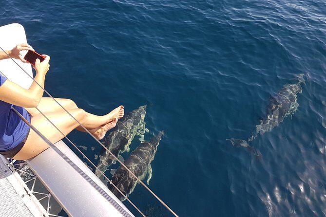 Sighting Dolphin Trip Estepona, Marbella - An In-Depth Look at the Experience