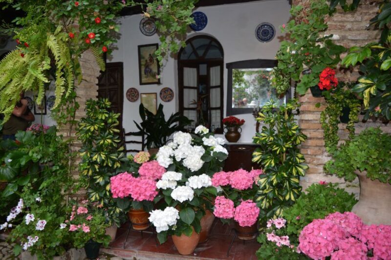 Sights, Sounds, and Scents of Córdoba's Patios - Why a Tour of Córdoba’s Patios Matters