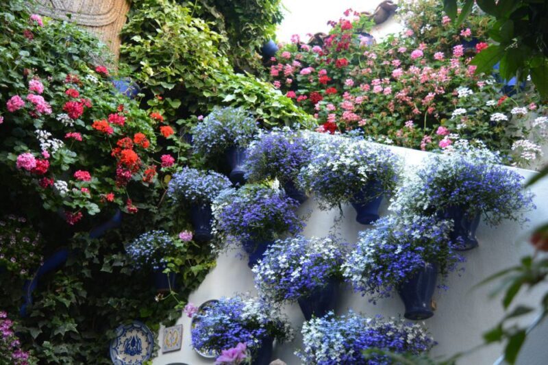 Sights, Sounds, and Scents of Córdoba's Patios - Authenticity and Value