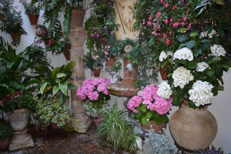 Sights, Sounds, and Scents of Córdoba's Patios - FAQ: Your Practical Questions Answered