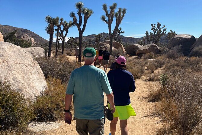 Sightseeing Adventure Tour of Joshua Tree National Park - What You Can Expect from the Tour