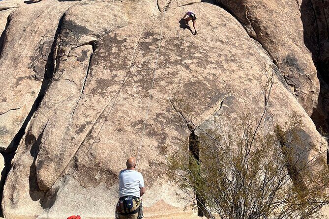 Sightseeing Adventure Tour of Joshua Tree National Park - What You Should Know Before Booking