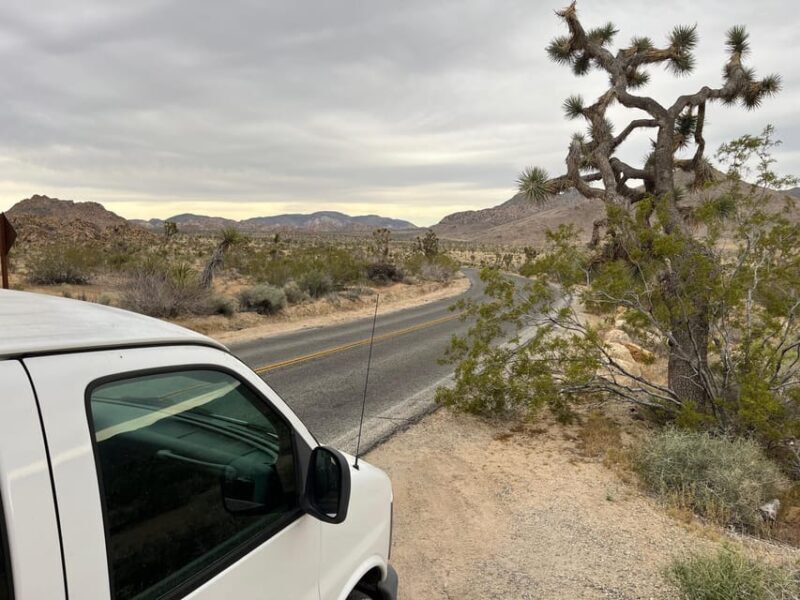 Sightseeing Adventure Tour of Joshua Tree Park (Max 10) - Final Thoughts