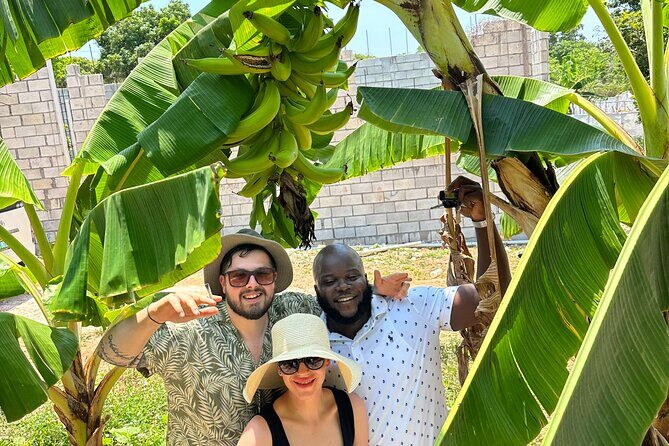 Sightseeing and Shopping Tour in Montego bay - Who Will Love This Tour?