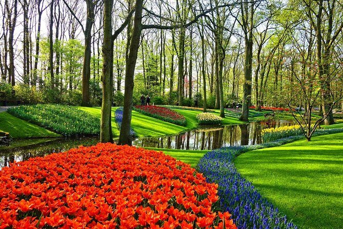 Sightseeing Keukenhof Tulip fields, Giethoorn tour from Amsterdam - Exploring the Tour in Detail
