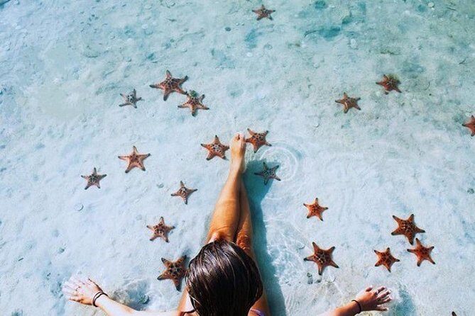 Sightseeing Northern Phu Quoc with Starfish Beach and Grand World - Who Is This Tour Best For?
