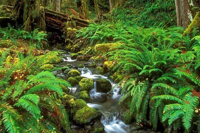 Sightseeing Northern Phu Quoc with Starfish Beach and Grand World - Final Thoughts