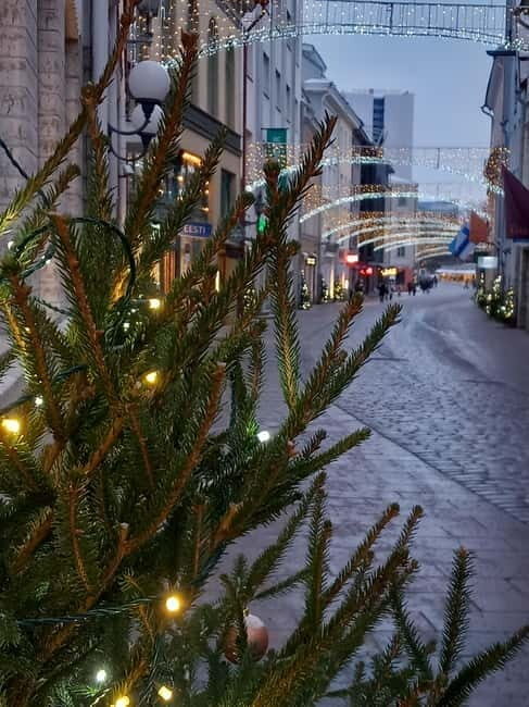 Sightseeing tour "Around Tallinn in 3 hours" - Key Points