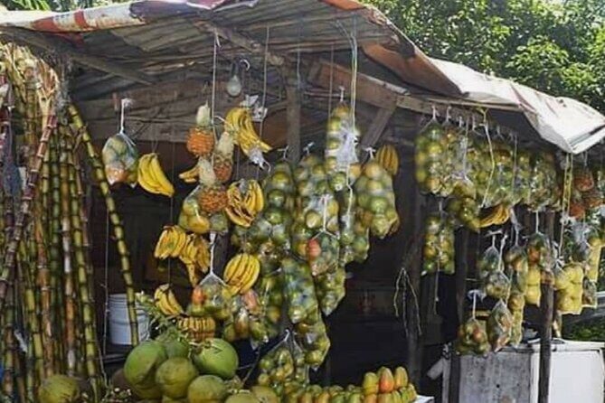 Sightseeing Tour in Ocho Rios - An In-Depth Look at the Ocho Rios Sightseeing Tour