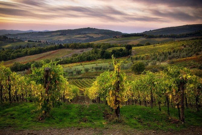 Sightseeing Tuscany by touring bike - 1 day rental - Leaving Florence: Easy, Scenic, and Crowds-Free