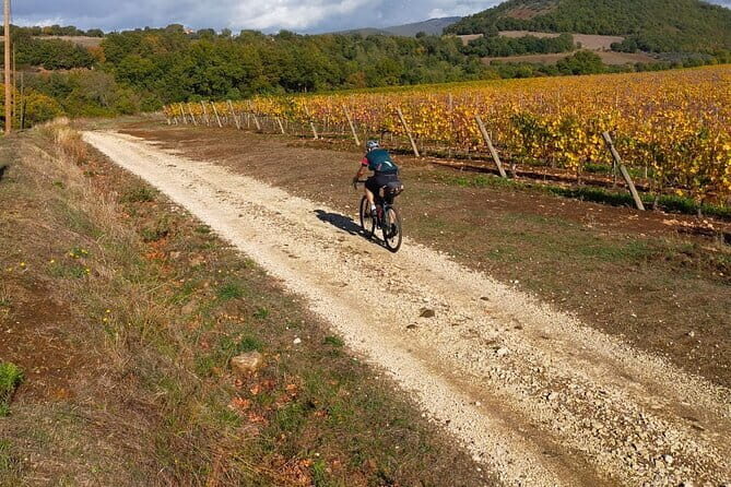 Sightseeing Tuscany by touring bike - 1 day rental - Duration and Timing: Flexible and Convenient