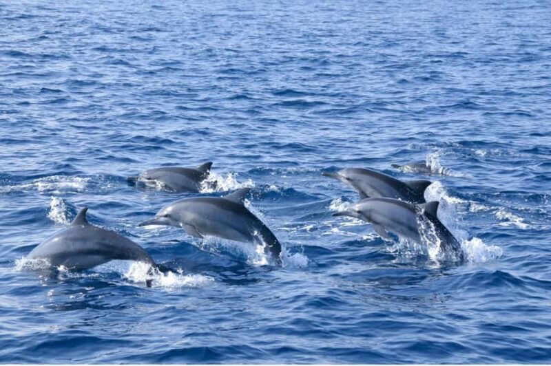 Sigiriya: 2-Day Trincomalee Tour Beach with Whale Watching - Why Choose This 2-Day Trincomalee Tour?