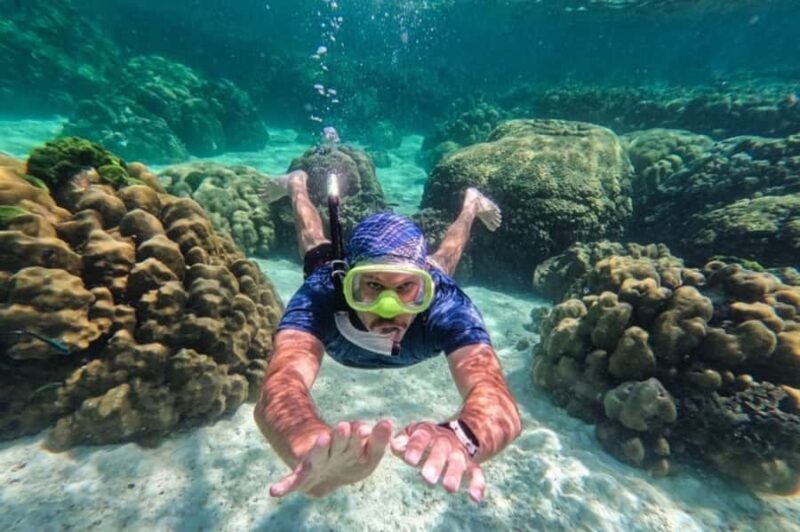 Sigiriya: 2-Day Trincomalee Tour Beach with Whale Watching - What Makes This Tour Stand Out?