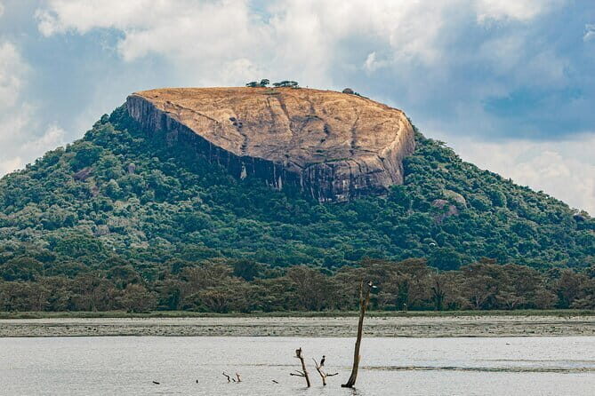 Sigiriya and Dambulla Day Tour from Kandy - Detailed Breakdown of the Itinerary