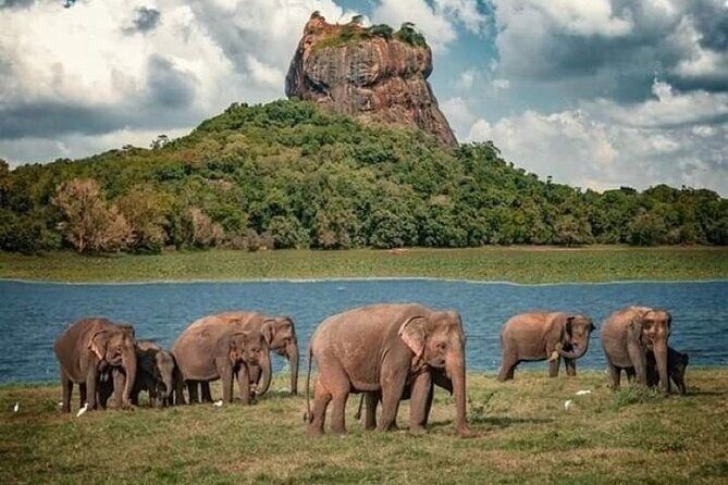 Sigiriya and Dambulla Day Trip from Pasikuda and Kalkuda - Key Points