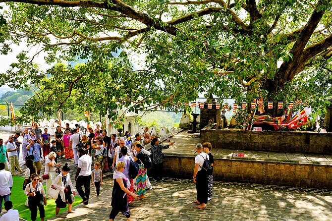 Sigiriya and Dambulla day trip, the cream of Sri Lankan heritage - Final thoughts