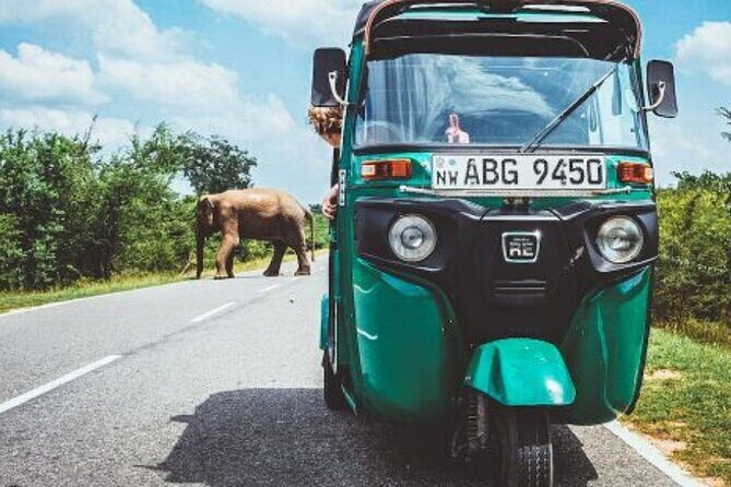 Sigiriya and Dambulla Private Day Tour by Tuk-Tuk or Car - Insights from Travelers