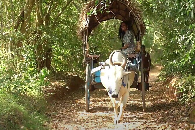 Sigiriya and Dambulla Private Day Tour by Tuk-Tuk or Car - The Sum Up: Is It Worth It?