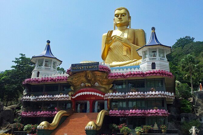 Sigiriya and Dambulla Private Day Tour - A Deep Dive into the Experience