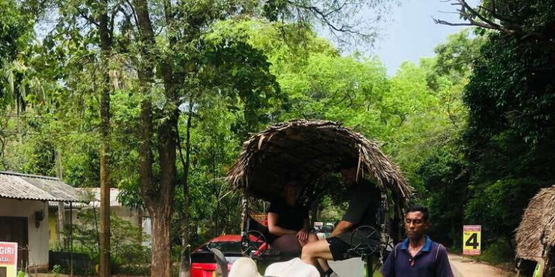 Sigiriya and Dambulla Private Full-Day Tour - Key Points