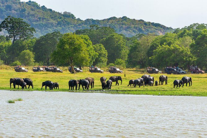 Sigiriya and Minneriya from Colombo (2 Days) - Who Should Consider This Tour?