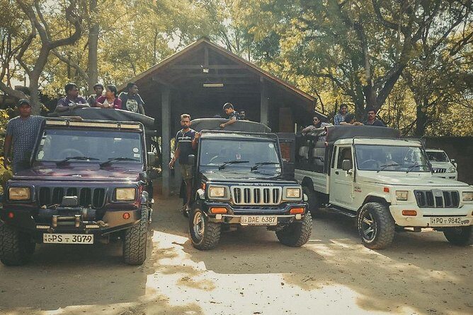 Sigiriya and Minneriya Great Escape - A Practical Overview of the Tour