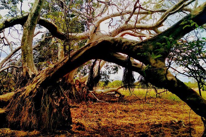 Sigiriya and Minneriya Great Escape - The Sum Up