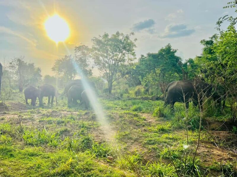 Sigiriya: Countryside Jeep Tour with Viewpoints & Villages - Key Points