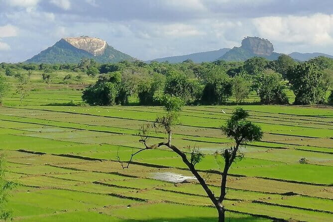 Sigiriya Cycle Safari Tour From Sigiriya - FAQs